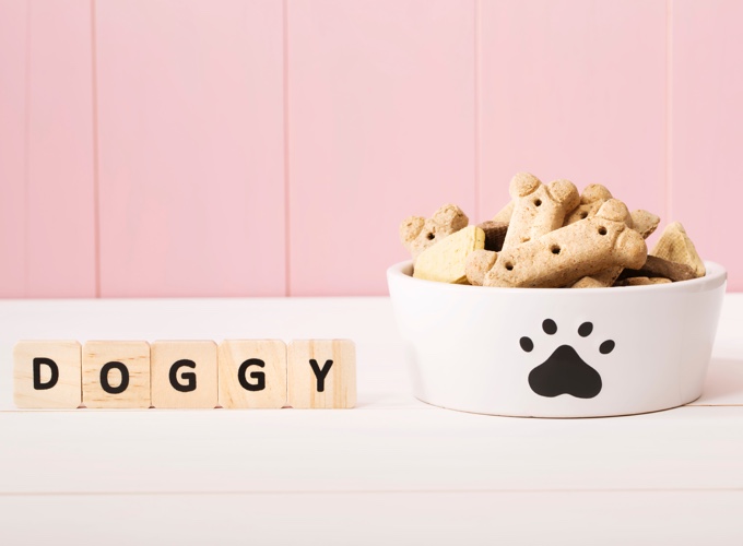 3 recettes de friandises automnales pour votre chien ! - Yummypets